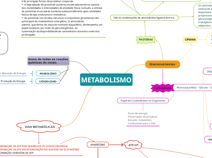 METABOLISMO - Mind Map