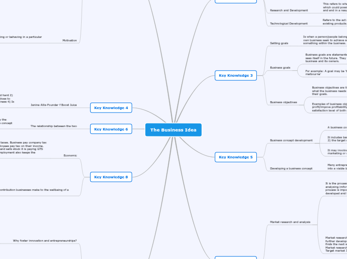 The Business Idea - Mind Map