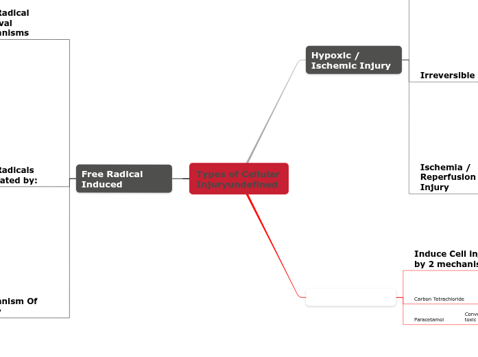 Types of Cellular Injury - Mind Map