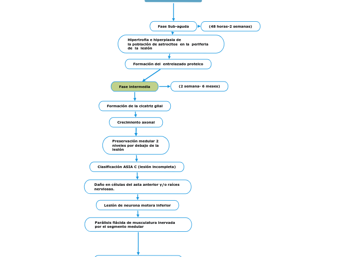 TRAUMA RAQUIMEDULAR - Mind Map
