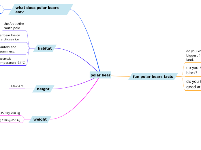 polar bear - Mind Map