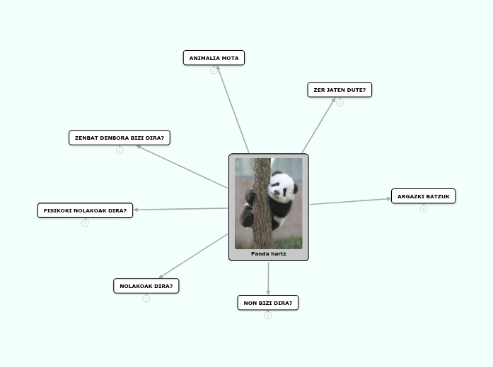Panda hartz - Mind Map