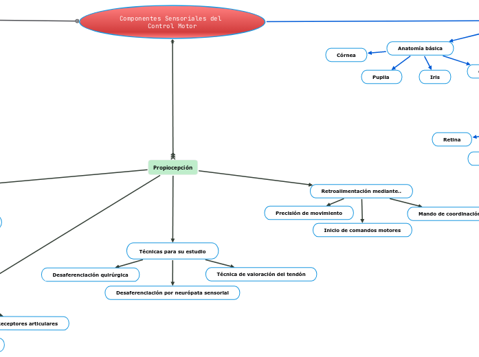 Componentes Sensoriales del Control Motor - Mind Map