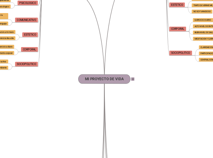 Mi Vida - Mind Map