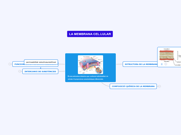 La membrana cel.lular | Mapa mental Mindomo