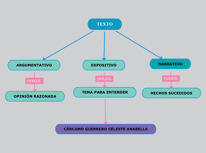 Tipos De Texto Mind Map/ejemplos De Textos Instructivos