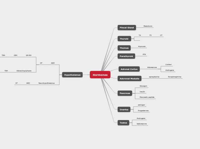 Hormones - Mind Map