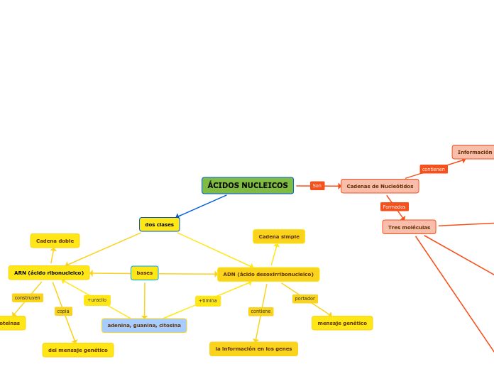 ÁCIDOS NUCLEICOS - Mind Map