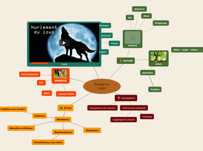 Balade en forêt - Concept Map