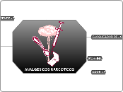ANALGESICOS NARCOTICOS - Mind Map