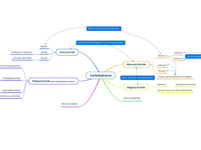 Carbohydrates - Mind Map