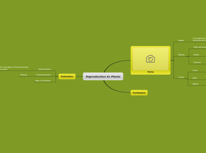 Reproduction In Plants - Mind Map