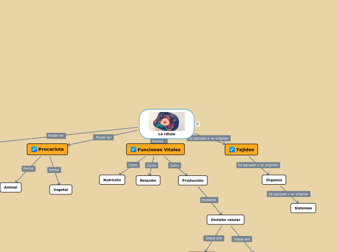 La célula - Mind Map