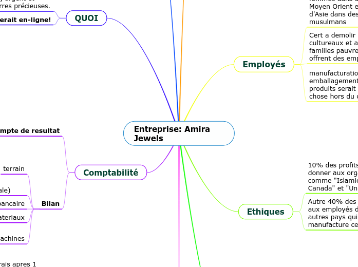 Entreprise: Amira Jewels - Mind Map