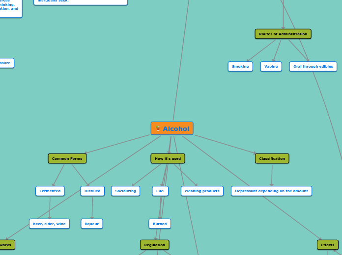 Drug and Alcohol concept map - Mind Map