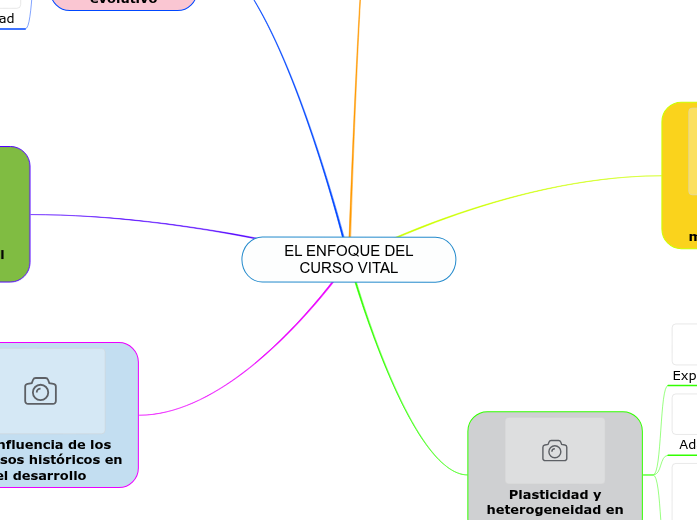 EL ENFOQUE DEL CURSO VITAL - Mind Map