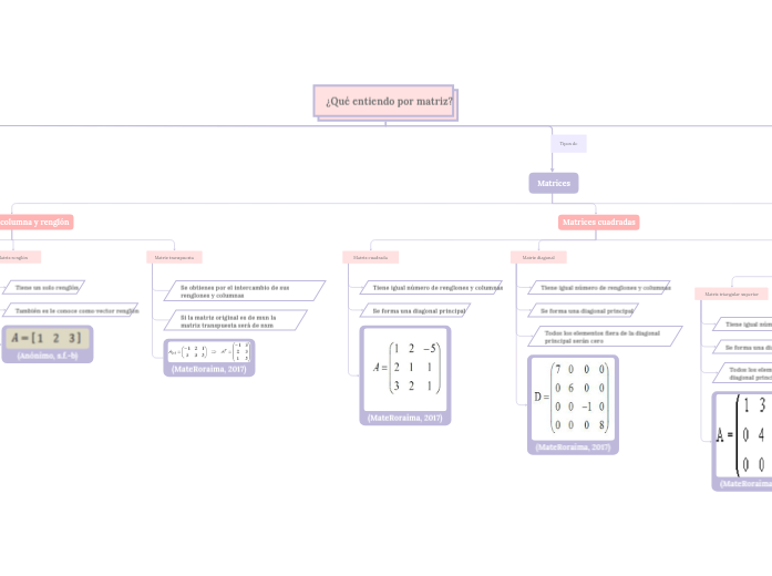 ¿Qué entiendo por matriz? - Mindmap - Voorbeeld