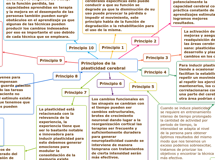 Principios de la plasticidad cerebral - Mind Map