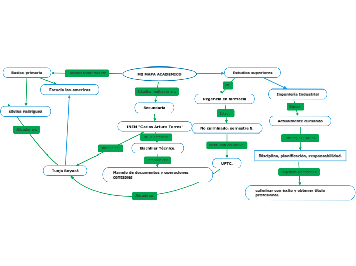 MI MAPA ACADEMICO - Mind Map