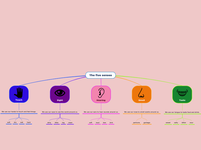The five senses - Mind Map