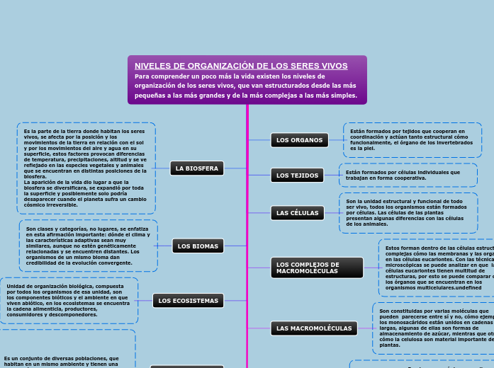 Niveles de organización - Mind Map