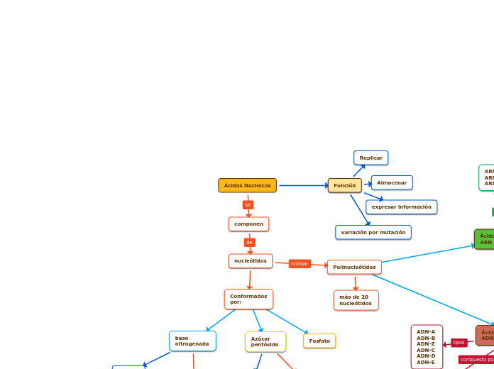 Ácidos Nucleicos - Mind Map