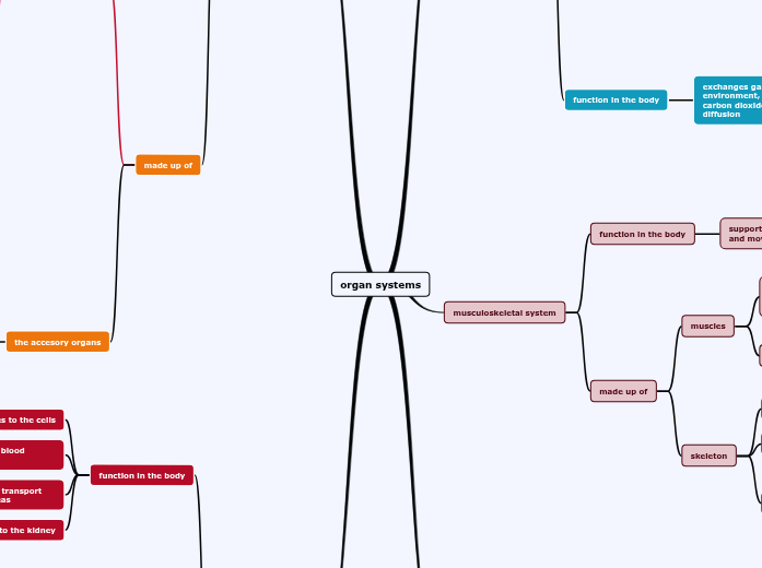 organ systems - Concept Map