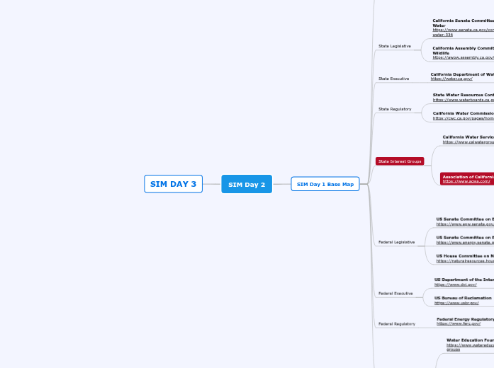 SIM Day 2 Copy - Mind Map