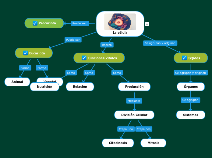 La célula - Mind Map