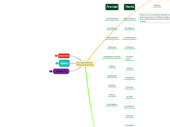 Final Project Mind map Made by, Adithya Pa...- Mind Map