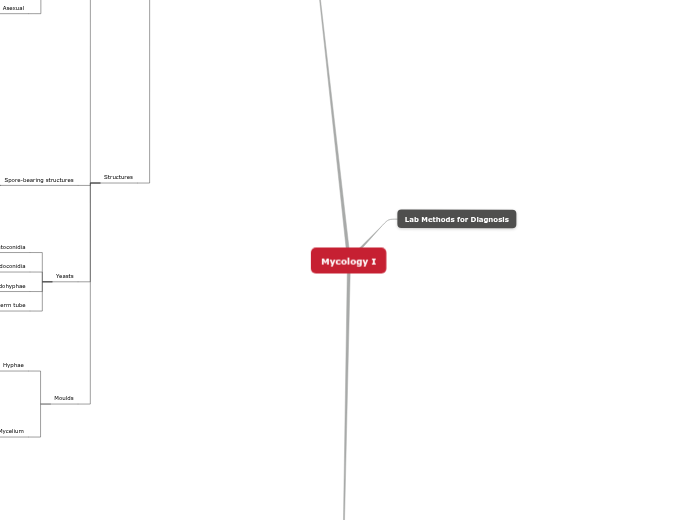 B4: Mycology I - Mind Map
