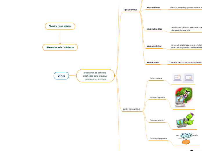 Virus - Mind Map
