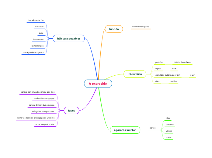 A excreción - Mind Map