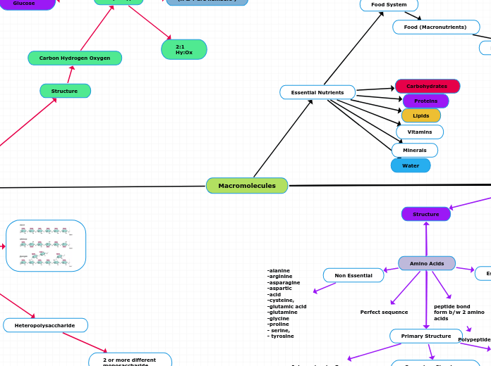 Macromolecules Diagram