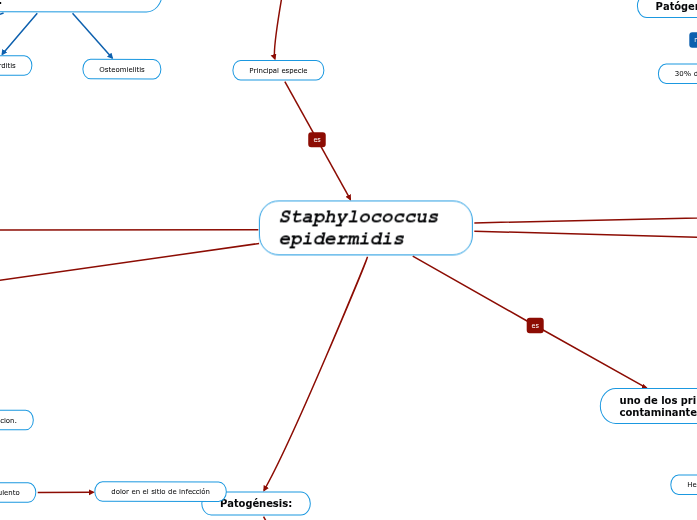 Staphylococcus spp - Mind Map