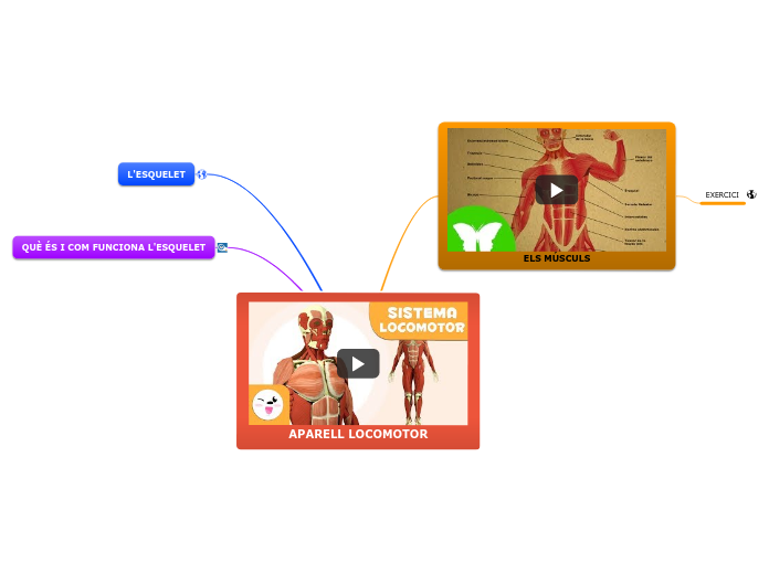 APARELL LOCOMOTOR - Mind Map