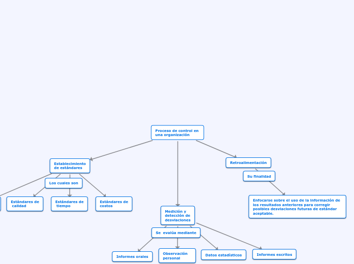 Proceso de control en una organización - Mind Map