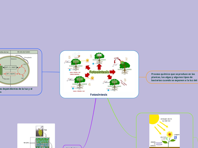 Fotosíntesis - Mind Map