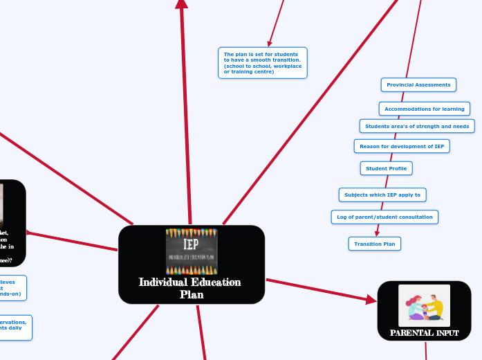 Individual Education Plan - Mind Map