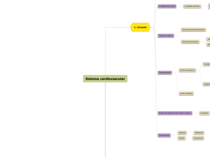 Sistema cardiovascular - Mind Map