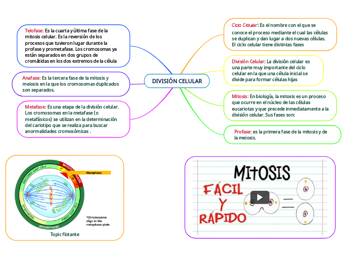 extraer costilla Restringir celula inicial Porra infraestructura quemado