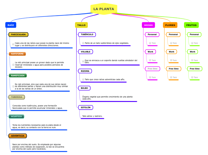 LA PLANTA - Mind Map