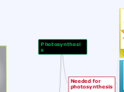 Photosynthesis - Mind Map