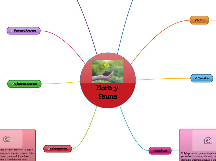 Flora y Fauna - Mind Map