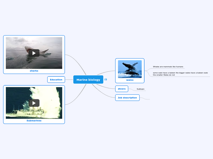 Marine biology - Mind Map