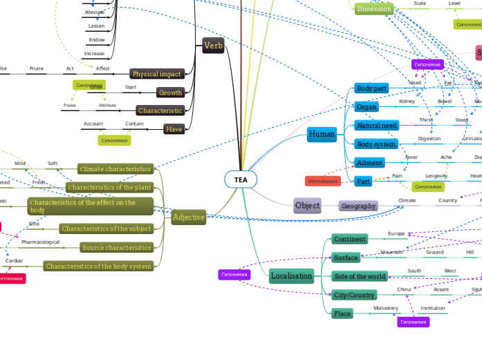 TEA - Mind Map