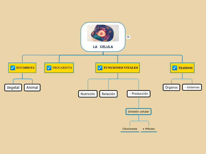 LA CELULA - Mind Map