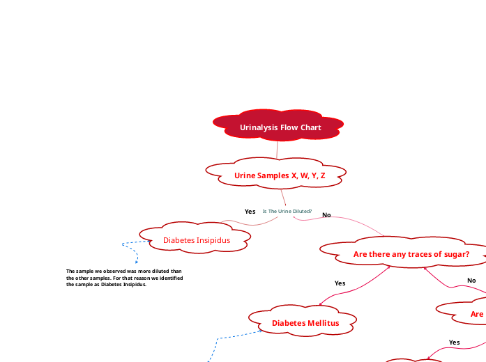 Urinalysis Flow Chart - Mind Map