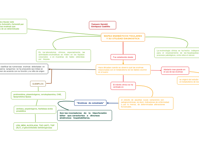 MAPAS ENZIMÁTICOS TISULARES Y SU UTILIDAD ...- Mind Map