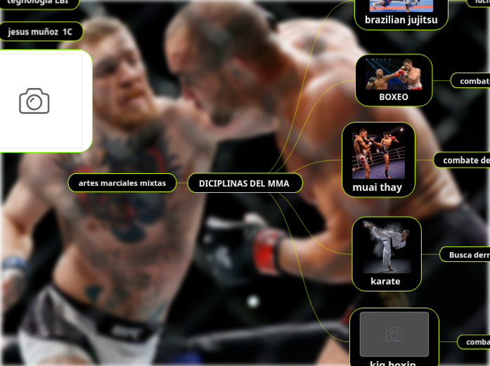 DICIPLINAS DEL MMA - Mind Map